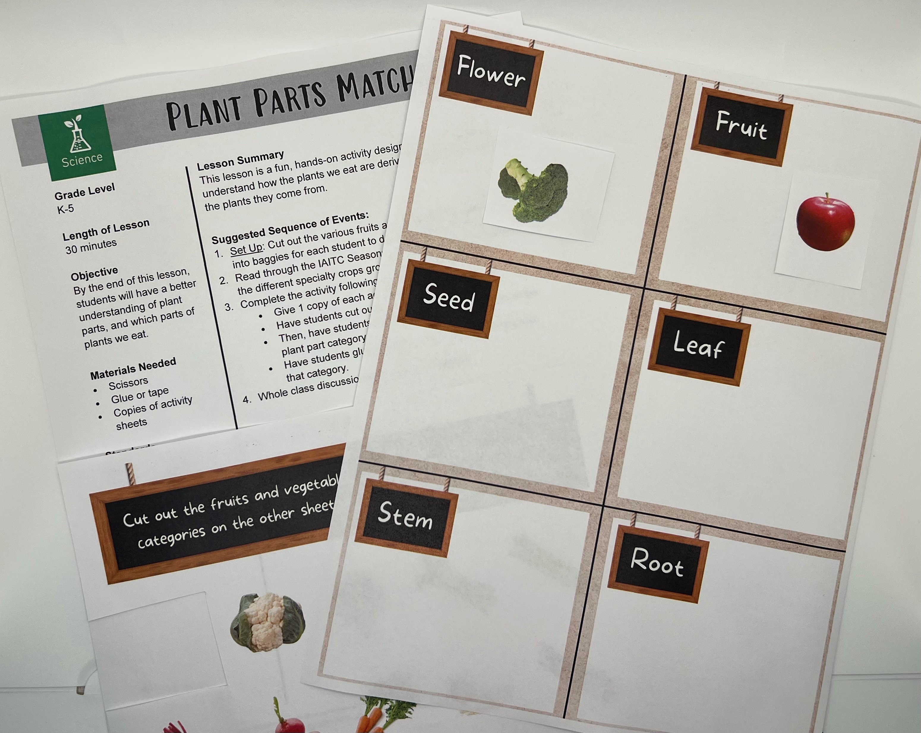 IAITC Gardening Lessons